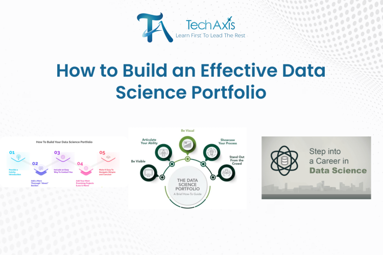 How to Build an Effective Data Science Portfolio